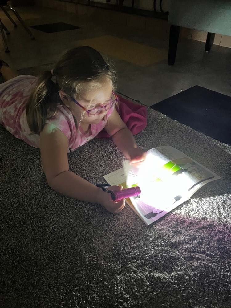 Live Feed | Elsa Meyer Elementary