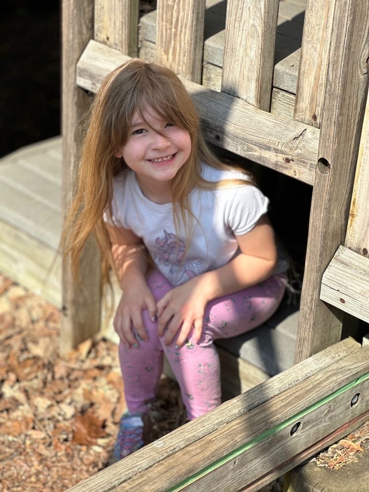 Live Feed | Elsa Meyer Elementary